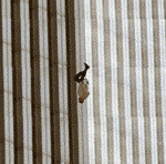 9:11 Falling Man Identified (foto Shefalitayal) – Rob Scholte Museum