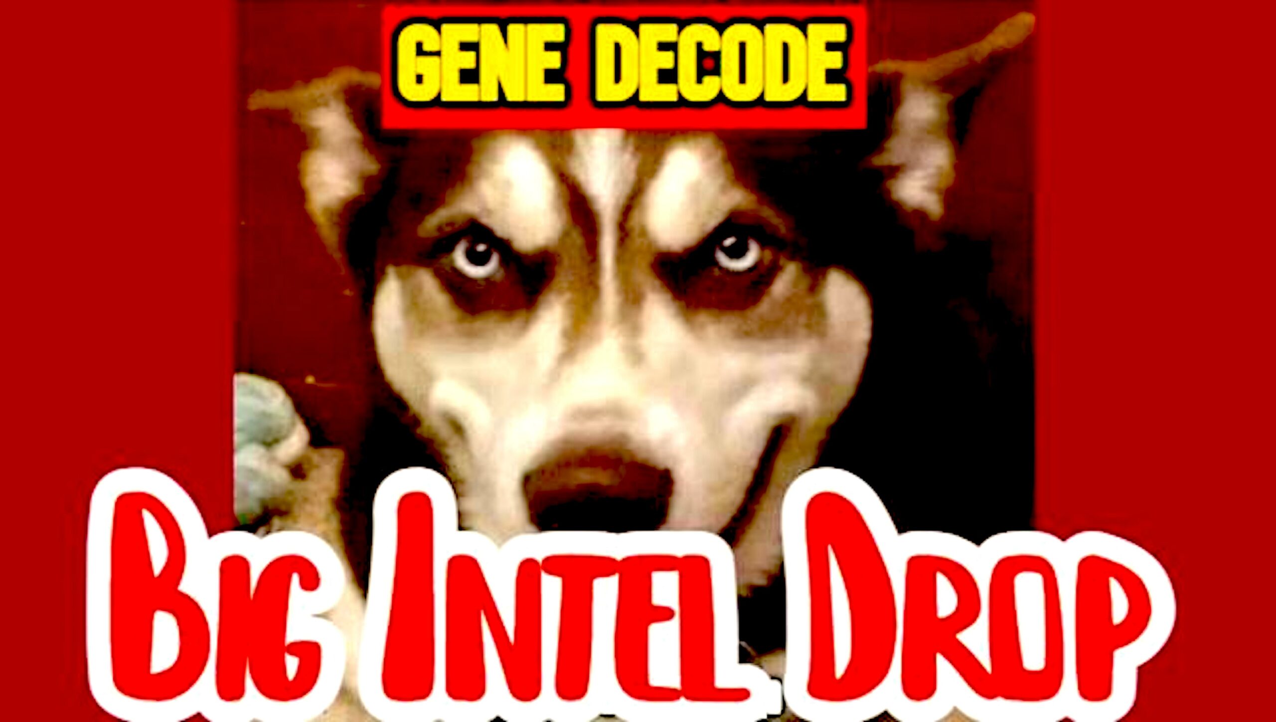 Gene Decode Big Intel Drop (foto Rumble) – Rob Scholte Museum
